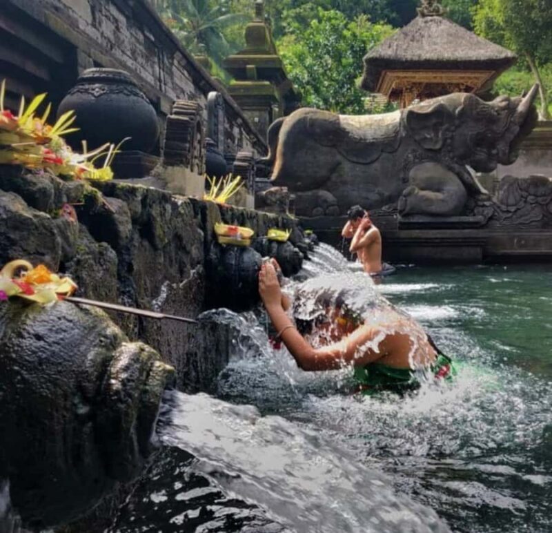 Ubud: Monkey Forest, Rice Terrace ticket included - FAQ