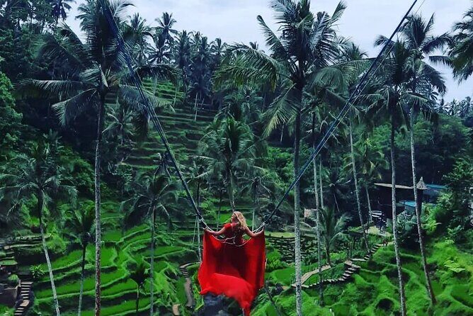 Ubud : Monkey Forest, Rice Terrace, Waterfall, Swing - An In-Depth Look at the Ubud Tour
