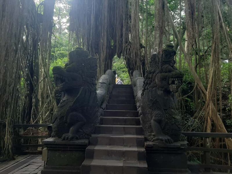 Ubud: Monkey Forest, Rice Terraces, and Waterfall - Key Points
