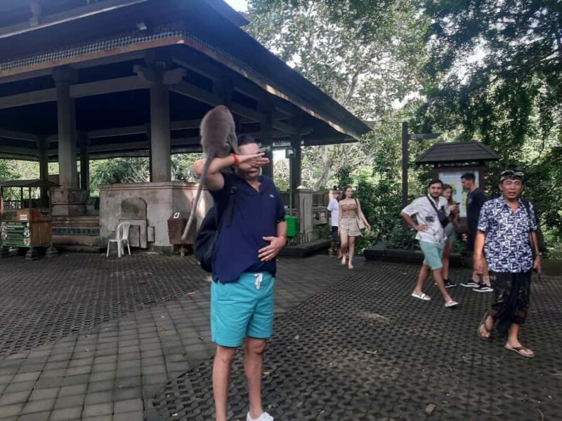 Ubud: Monkey Forest, Rice Terraces, and Waterfall - The Sum Up