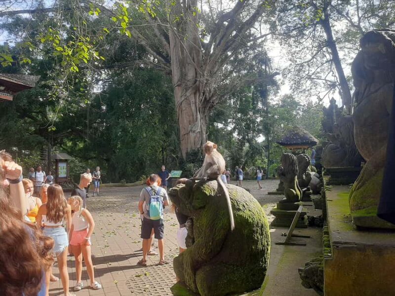 Ubud: Monkey Forest, Rice Terraces, and Waterfall - FAQ