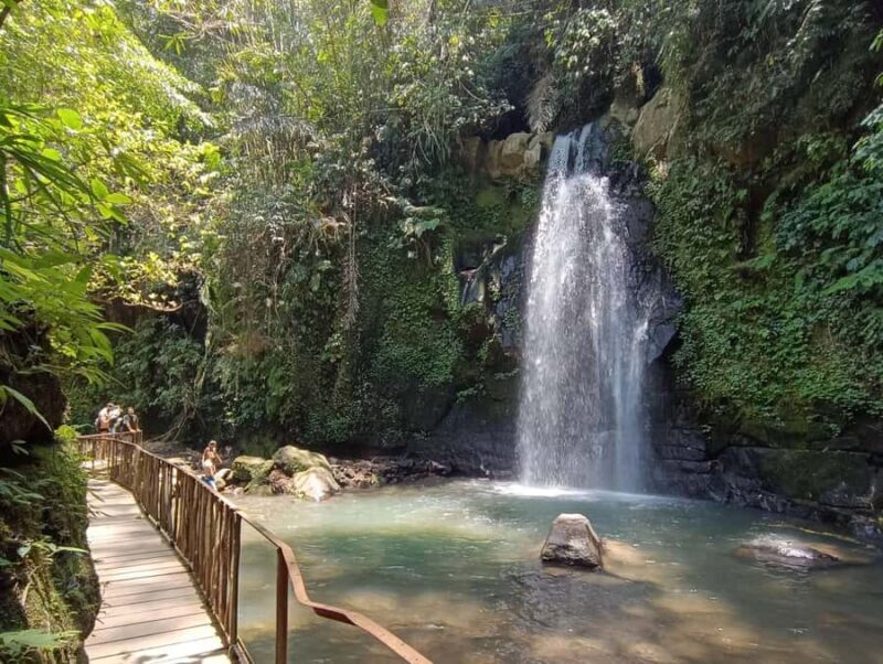 Ubud: Monkey Forest, Rice Terraces, and Waterfall Tour - Key Points