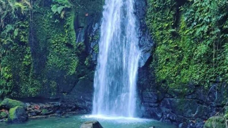 Ubud: Monkey Forest, Rice Terraces, Temple&Petanu Waterfall - How to Get the Most Out of This Tour