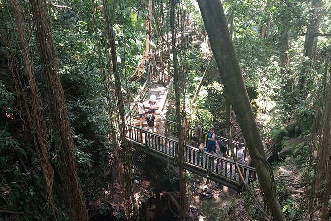Ubud Monkey Forest Sanctuary Entrance Ticket All Inclusive - Final Thoughts: Who Is This Tour Best For?