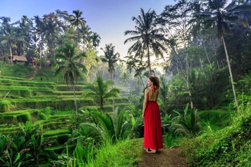 Ubud: Monkey Forest Sanctuary & Jungle Swing Tour - Key Points