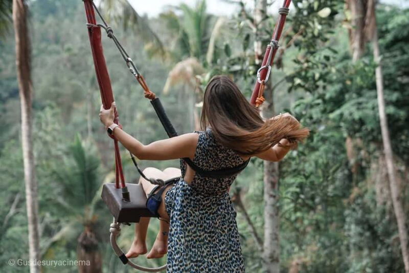 Ubud: Monkey Forest Sanctuary & Jungle Swing Tour - Who Will Love This Tour?