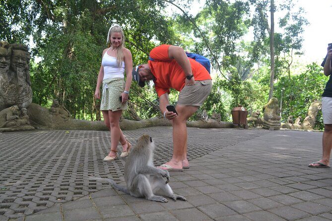 Ubud Monkey Forest Sanctuary Tours - Key Points