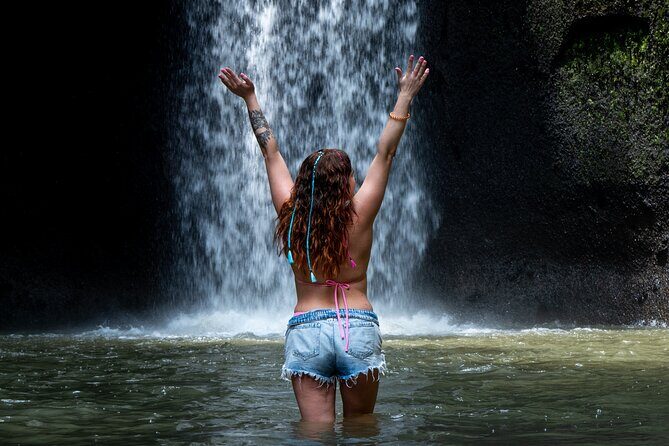Ubud Monkey Forest, Scenic Rice Terrace with Swing and Waterfall - Key Points