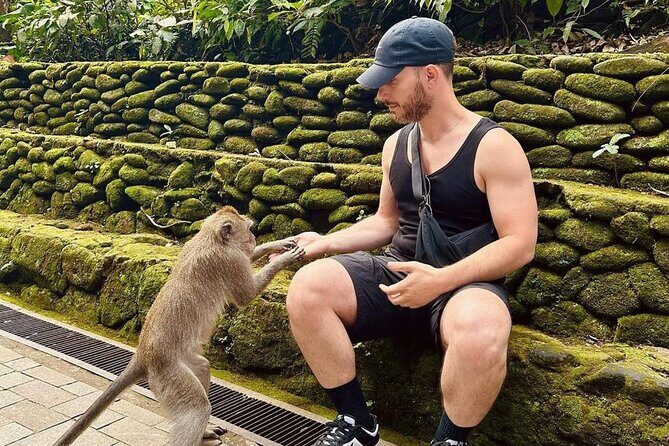 Ubud Monkey Forest, Scenic Rice Terrace with Swing and Waterfall - Discovering Serenity at Tibumana Waterfall