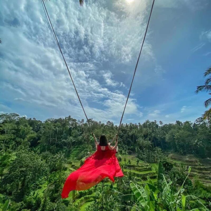 Ubud Monkey Forest, Temple, Rice Terrace and Waterfall Tour - Key Points