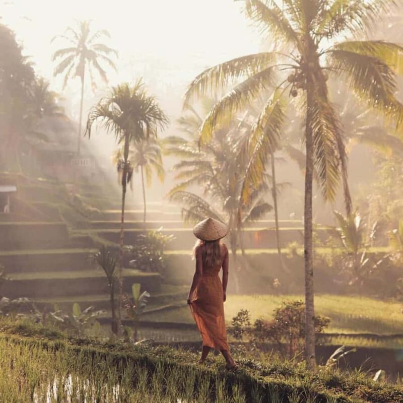 Ubud Monkey Forest, Temple, Rice Terrace and Waterfall Tour - Who Is This Tour Best For?