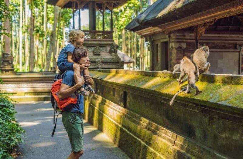 Ubud: Monkey Forest Tour - Macaques, Temples & Bridges - The Sum Up