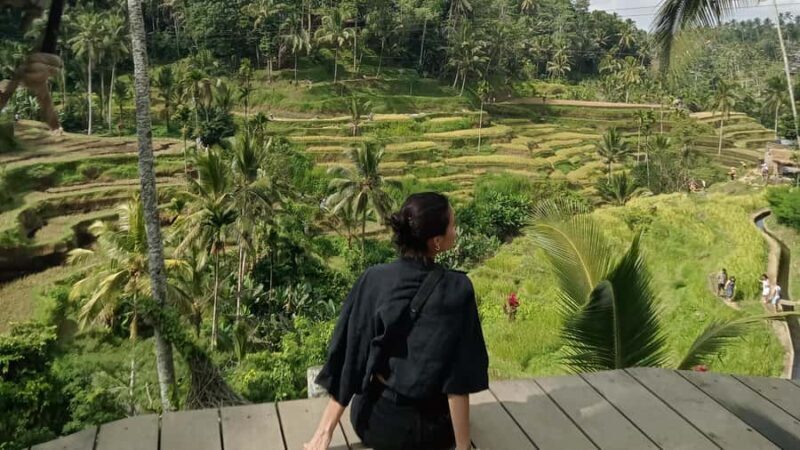 Ubud :Monkey forest, Water Temple and waterfall Private Tour - Key Points