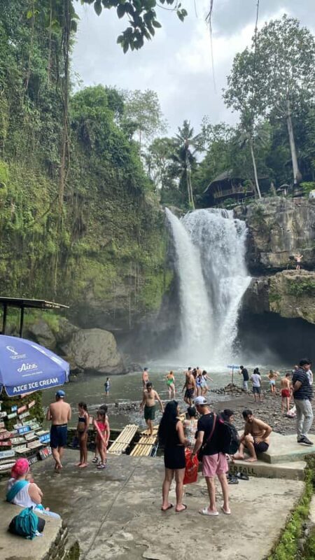 Ubud :Monkey forest, Water Temple and waterfall Private Tour - An In-Depth Look at the Ubud Private Tour