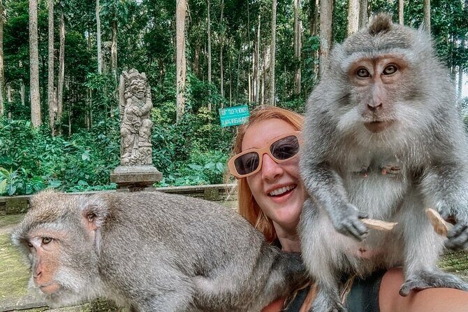 Ubud Monkey Forest Water Temple Waterfall and Rice Terrace - A Full Day of Balinese Highlights