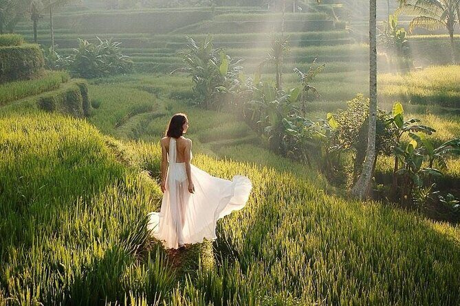Ubud Monkey Forest Water Temple Waterfall and Rice Terrace - Who Is This Tour Best For?
