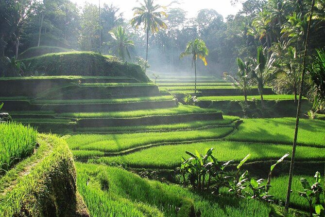 Ubud Monkey Forest Water Temple Waterfall and Rice Terrace - FAQ