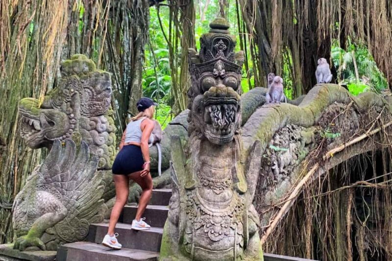 Ubud: Monkey Forest, Waterfall, and Rice Terrace Tour - Ubud: Monkey Forest, Waterfall, and Rice Terrace Tour – A Balanced Look at Bali’s Natural Charm