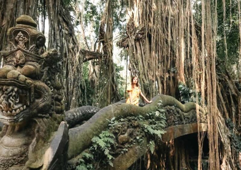 Ubud: Monkey Forest, Waterfall, and Rice Terrace Tour - Key Points