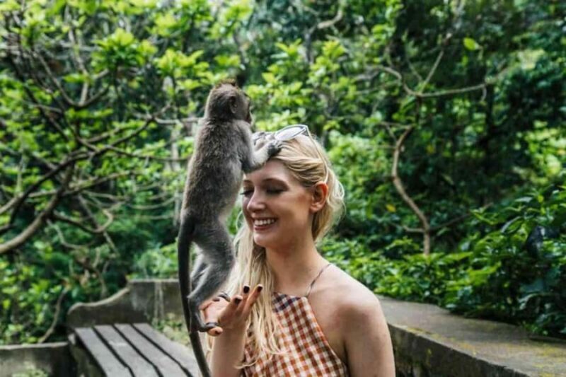 Ubud: Monkey Forest, Waterfall, and Rice Terrace Tour - What to Expect and Practical Tips