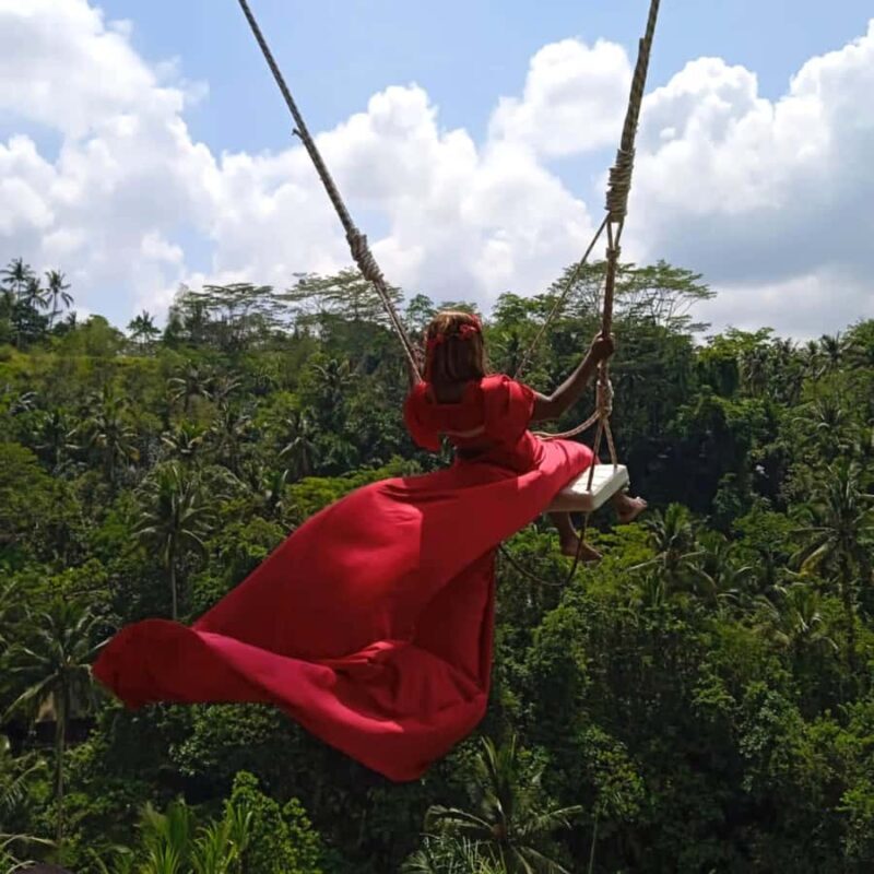 Ubud: Monkey Forest with North of Ubud and Happy Swings - Key Points