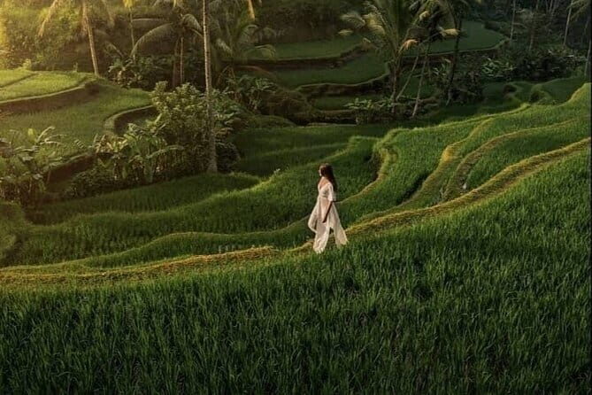 Ubud Most Iconic Waterfall, Water Temple and Rice Terrace Tour - Key Points