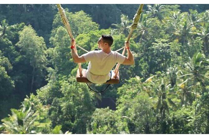 Ubud Natural Scenery with Swing - An In-Depth Look at the Tour