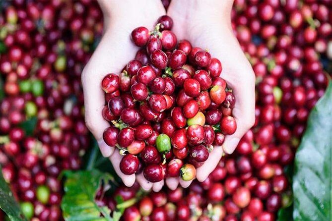 Ubud Nature Tours including Culture, Arts, Temple, Volcano, Rice field & Shows - FAQ