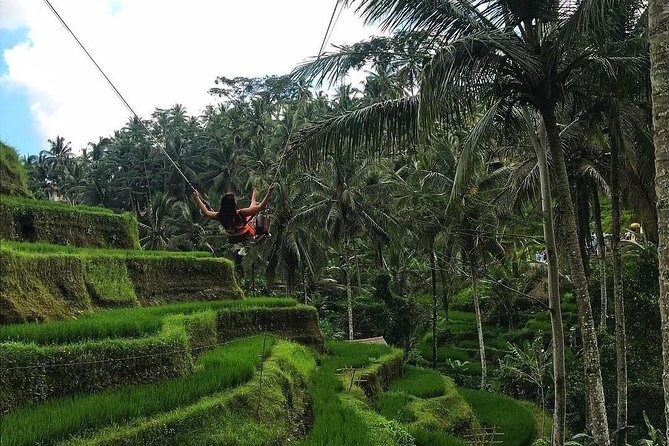 Ubud Nature Waterfall Tour - A Detailed Look at the Waterfall Tour