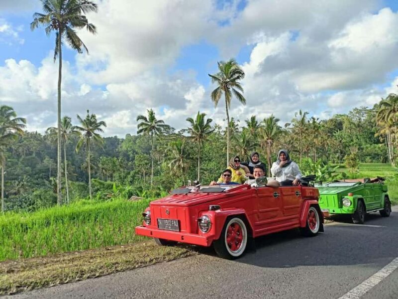 Ubud on the Road: VW Safari Tour Across Local Life of Ubud - A Closer Look at the Ubud VW Safari Tour