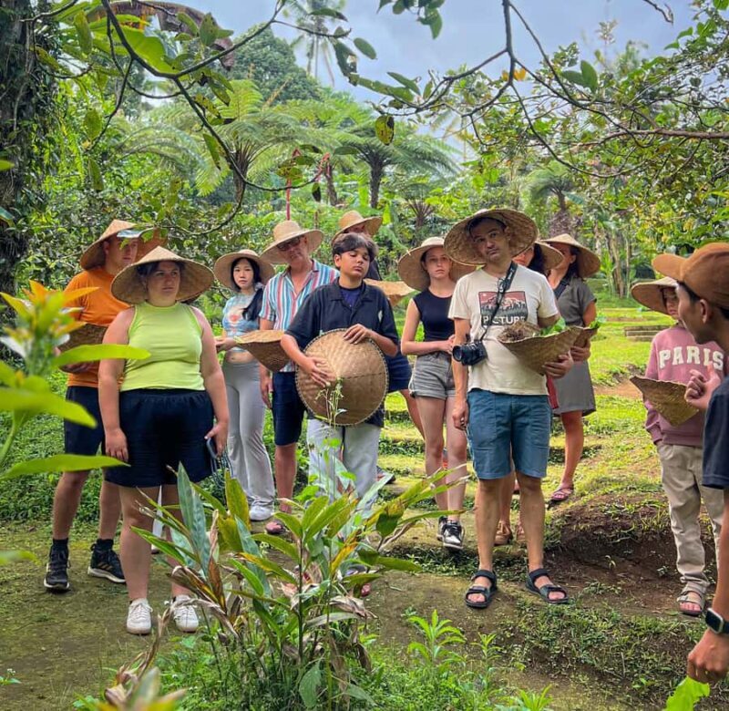 Ubud: Organic Farm Harvest, Bali Cooking Class by Pemulan - What to Expect from the Balinese Cooking Class