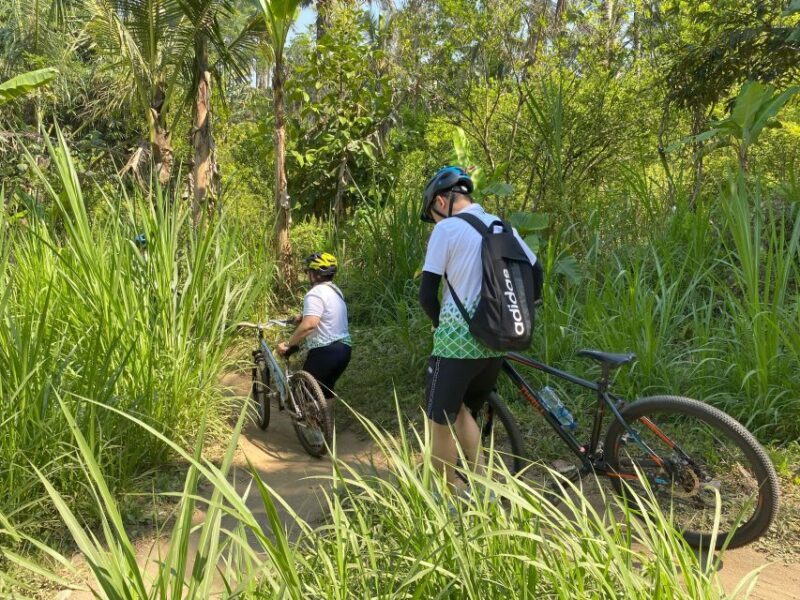 Ubud : PRIVATE Bike Tour inside Rice Field with meal & pool - The Sum Up