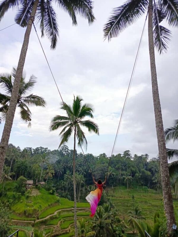 Ubud: Private Charter Car 10hours. - Pricing and Value: Whats Included?