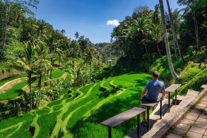 Ubud Private Custom Day Tour - What Makes This Tour Stand Out
