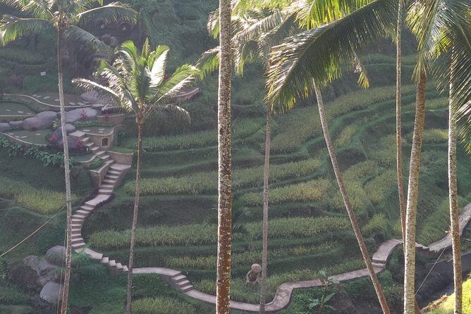 Ubud Private & Customize Day Tour - An Overview of the Experience