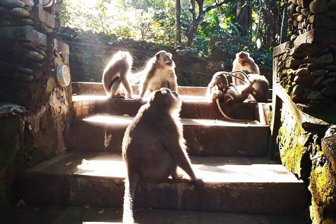 Ubud Private Customized Tour - Itinerary Breakdown: What Youll See and Experience