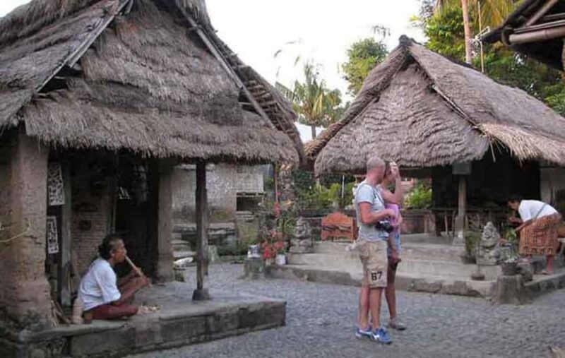 Ubud: Private Day Tour with Waterfall and Rice Terrace - An In-Depth Look at the Ubud Private Day Tour