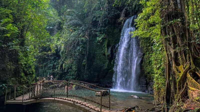 Ubud: Private Day Tour with Waterfall and Rice Terrace - Who Will Love This Tour?