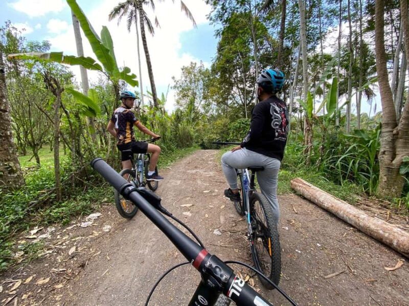 Ubud: PRIVATE Downhill Bike Tour with Rice Terraces & Meal - The Sum Up