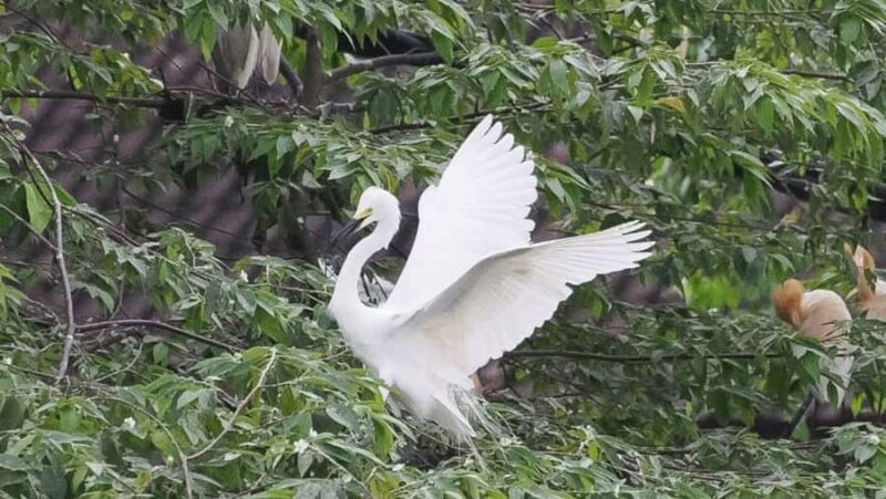 Ubud: Private Fullday Tour with Flexible Itenarary - Transportation and Logistical Details