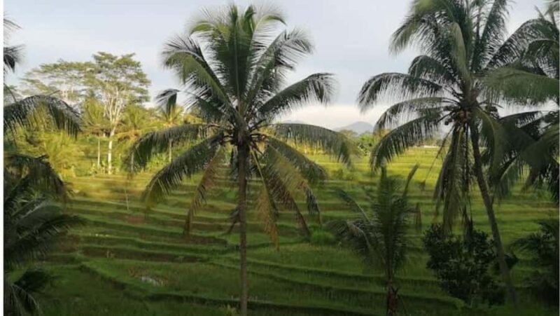 Ubud: Private Fullday Tour with Flexible Itenarary - Who Should Consider This Tour?