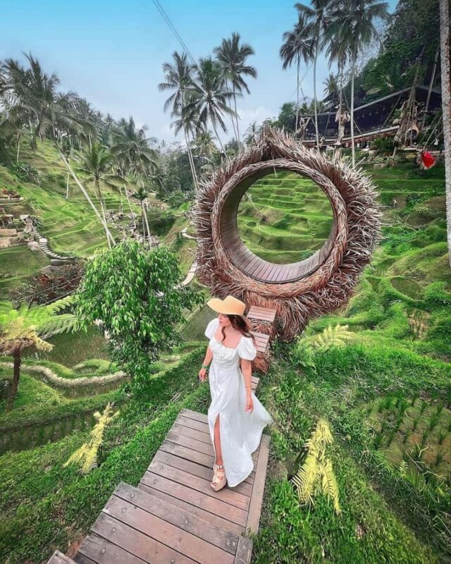 Ubud: Private Scenic Waterfalls and Rice Terraces Tour - FAQs