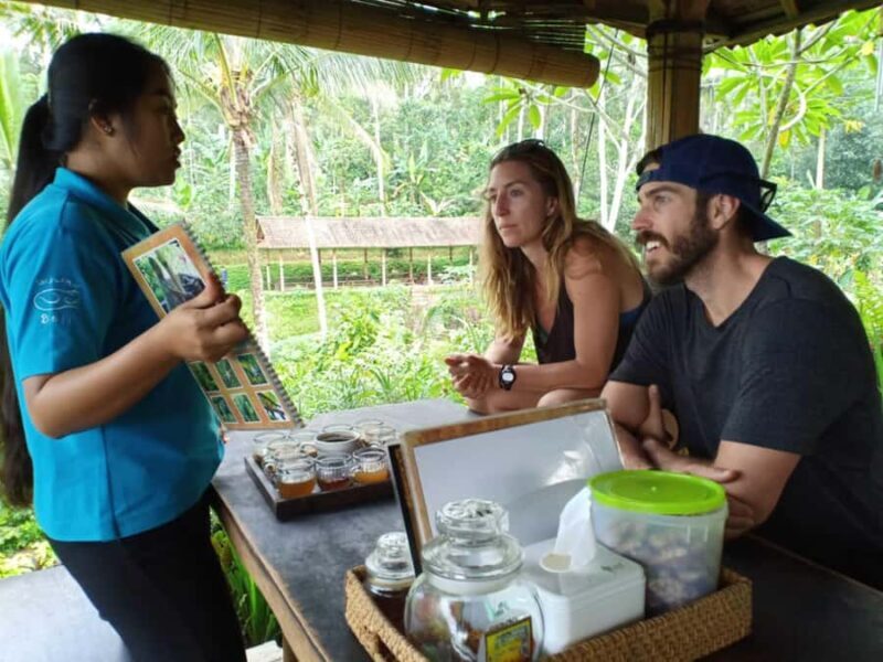 Ubud: Private Scenic Waterfalls and Rice Terraces Tour - Final Thoughts