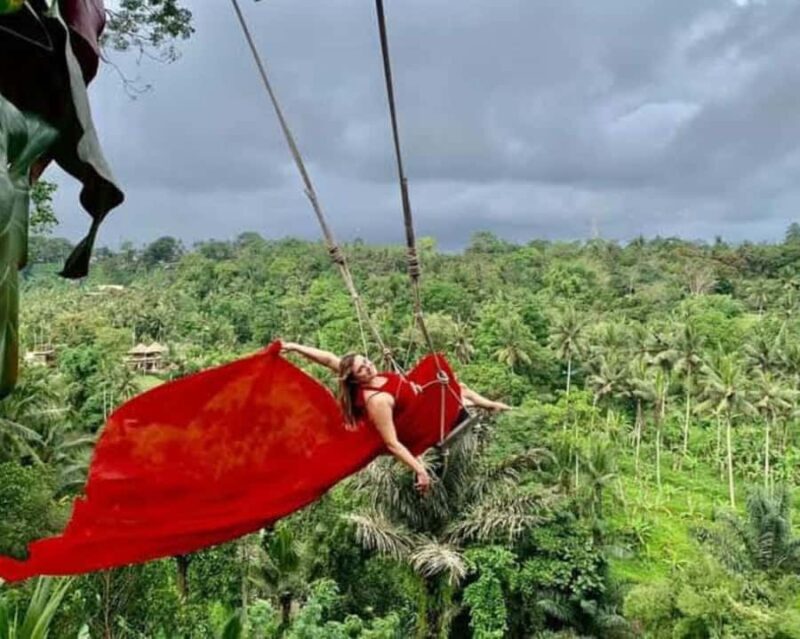 Ubud: Private Sighseeing Ubud Area, Culture with Transfer - A Deep Dive into the Ubud Experience