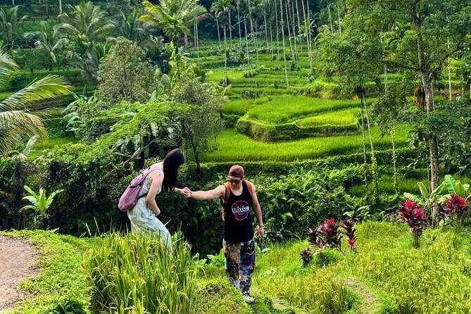 UBUD Private Tour  Rice Terrace, Jungle Swing & Hidden Waterfall - The Transport and Guide Experience