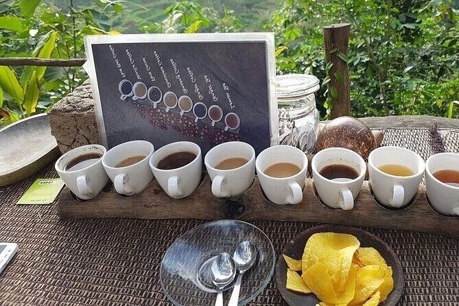 UBUD Private Tour  Rice Terrace, Jungle Swing & Hidden Waterfall - FAQ