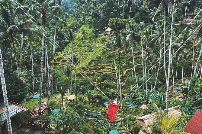 Ubud Private Tour: Waterfall, Monkey Forest, Rice Terrace, Temple - Exploring the Ubud Private Tour: Waterfall, Monkey Forest, Rice Terrace, Temple
