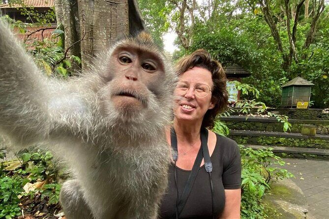 Ubud Private Tour: Waterfall, Monkey Forest, Rice Terrace, Temple - Final Thoughts: Is This Tour Worth It?
