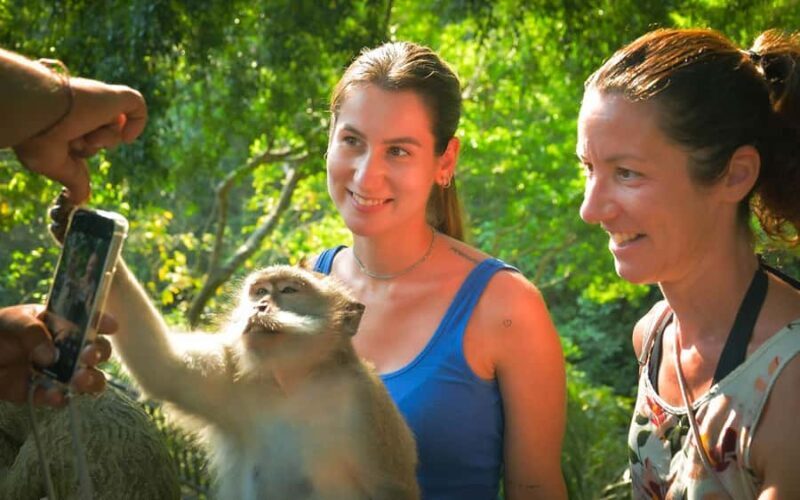 Ubud: Private Tour Waterfall, Rice Terraces & Monkey Forest - Key Points