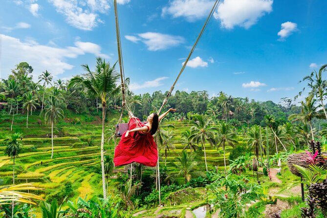 Ubud Private Tour: Waterfalls, Temple and Rice Terraces Swing - An Overview of the Ubud Private Tour